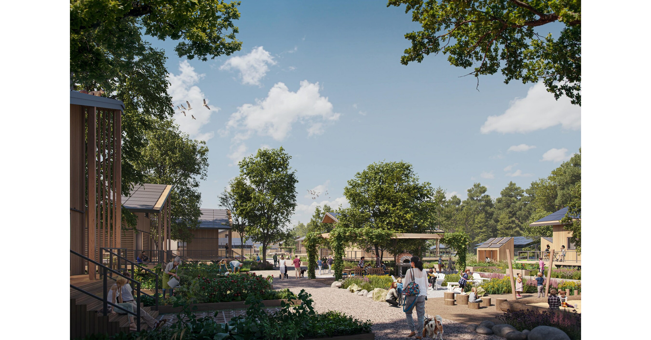 CABN launches rapid and sustainable technology to tackle housing and ...