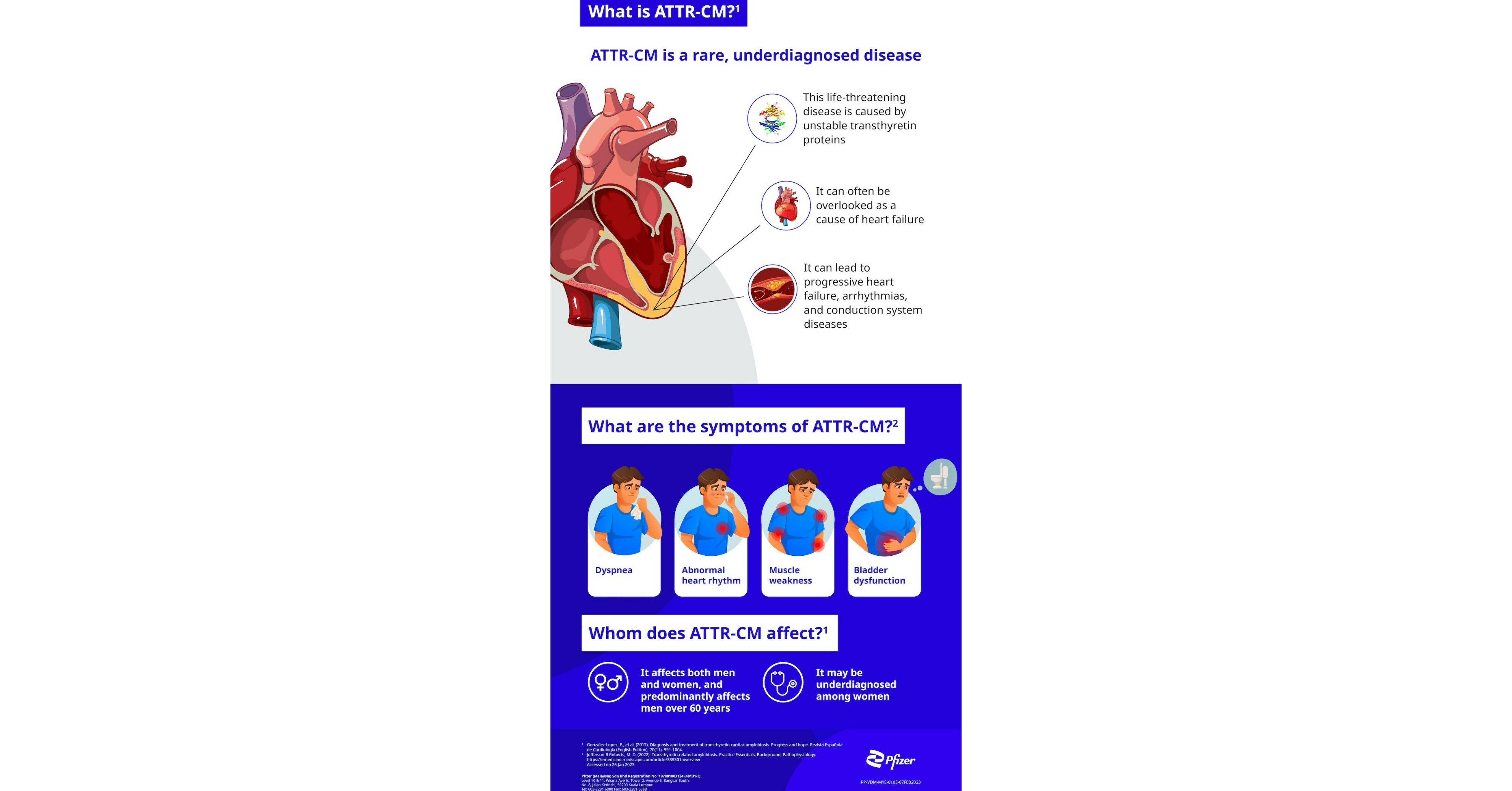 PFIZER CALLS FOR MORE AWARENESS OF TRANSTHYRETIN AMYLOID CARDIOMYOPATHY ...
