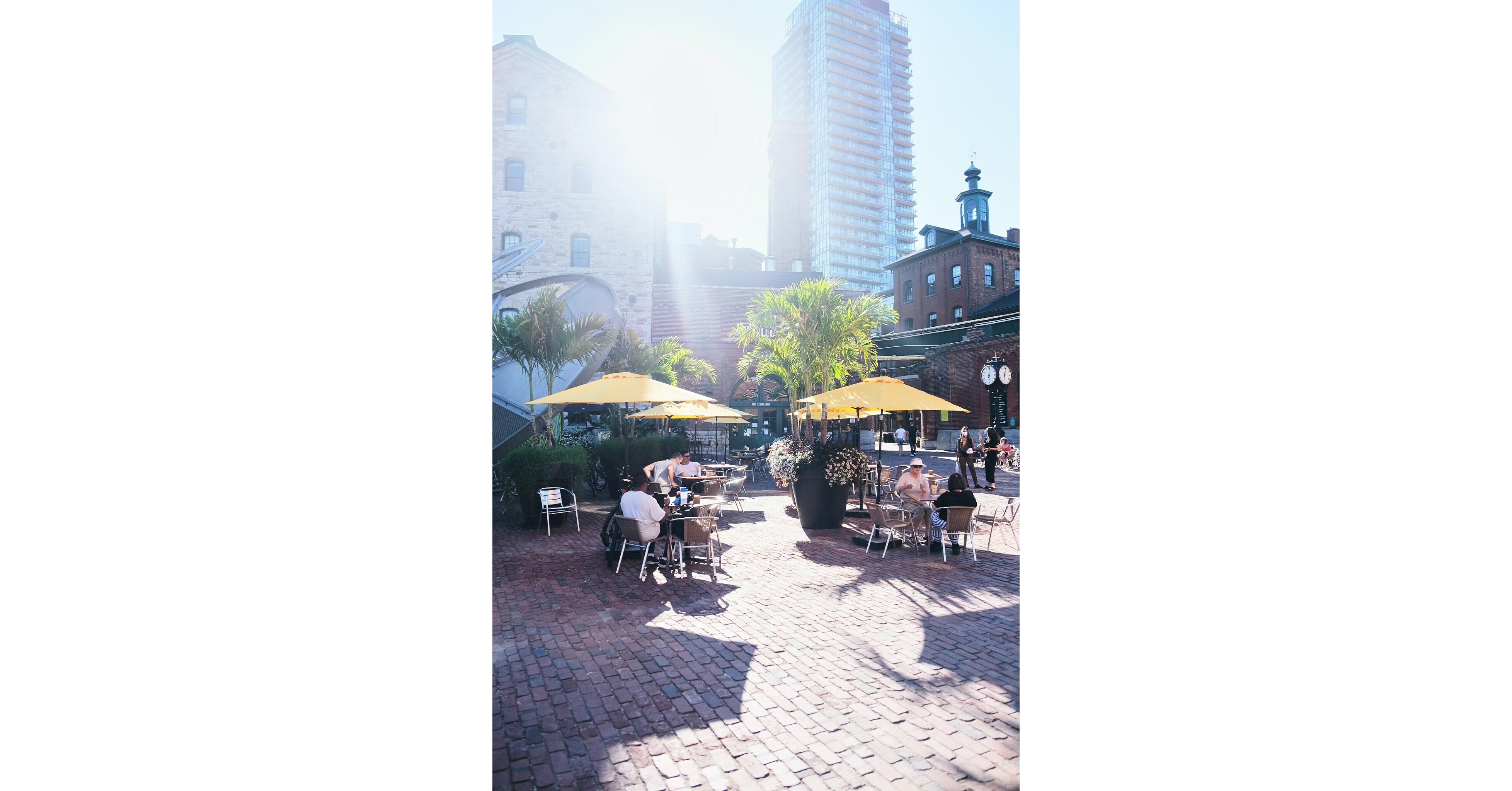 The Distillery District Celebrates 20 Years of Transformative Cultural ...