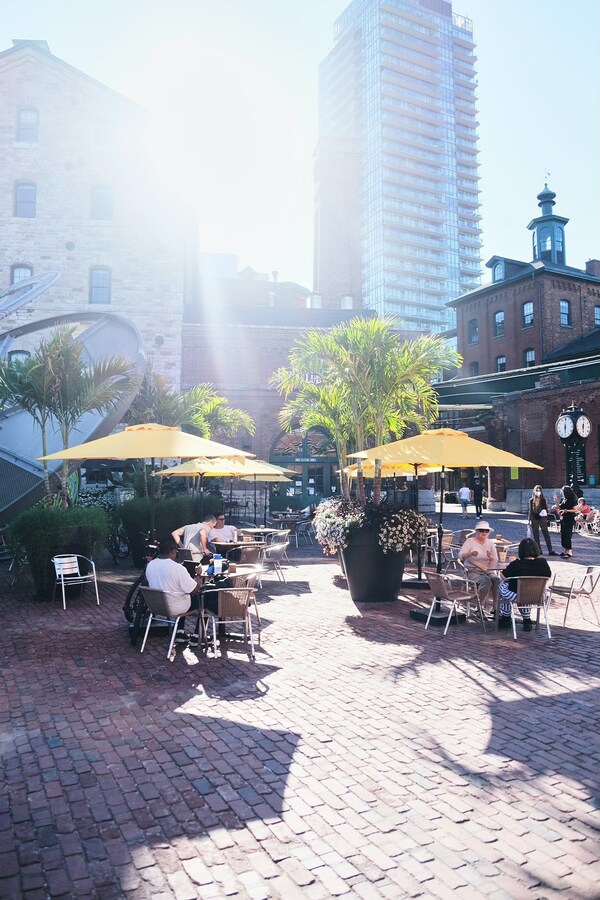 The Distillery District Celebrates 20 Years of Transformative Cultural ...