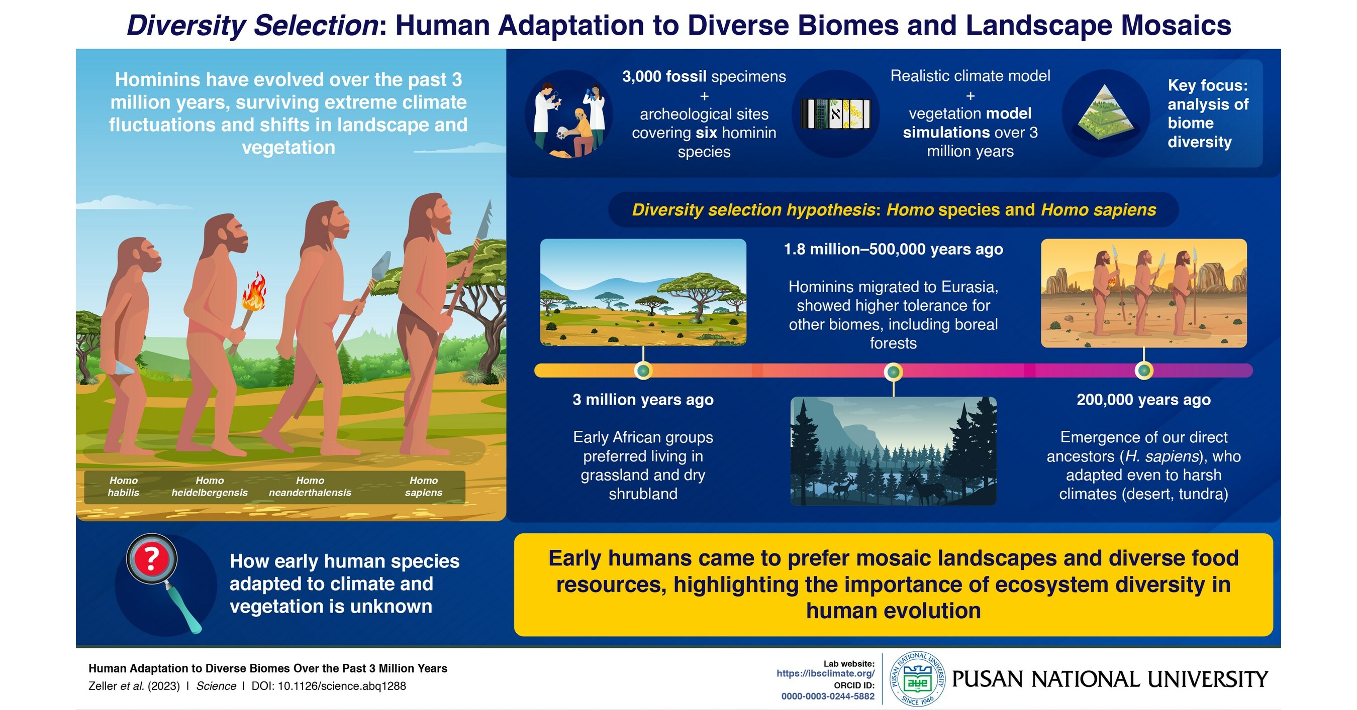 Human Evolution Linked to Ecosystem Diversity, Reveals a Pusan National ...