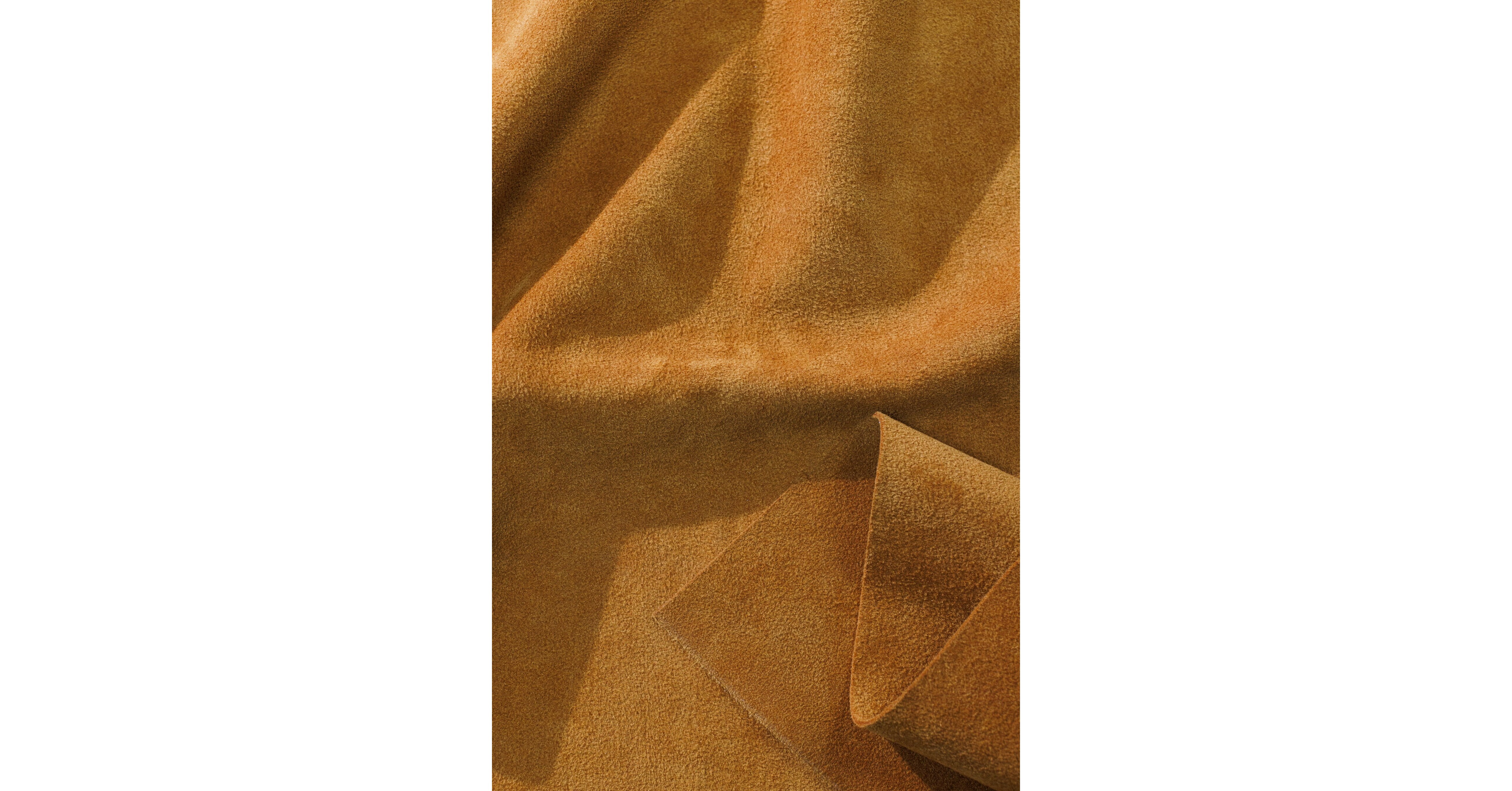 Modern Meadow Unveils Bio-VERA™ as a Breakthrough Sustainable ...