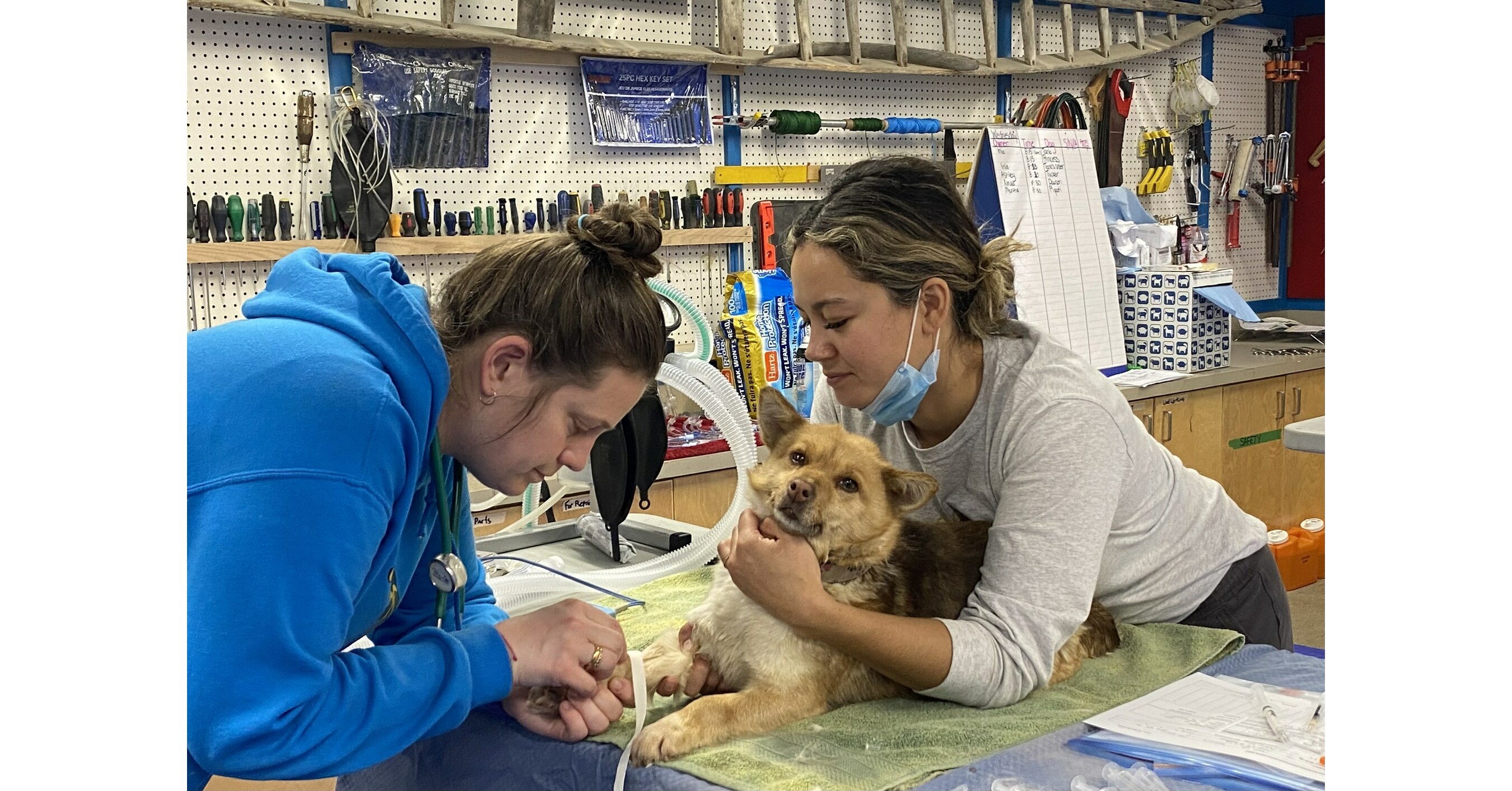 PetSmart Charities of Canada Addresses Lack of Access to Veterinary ...