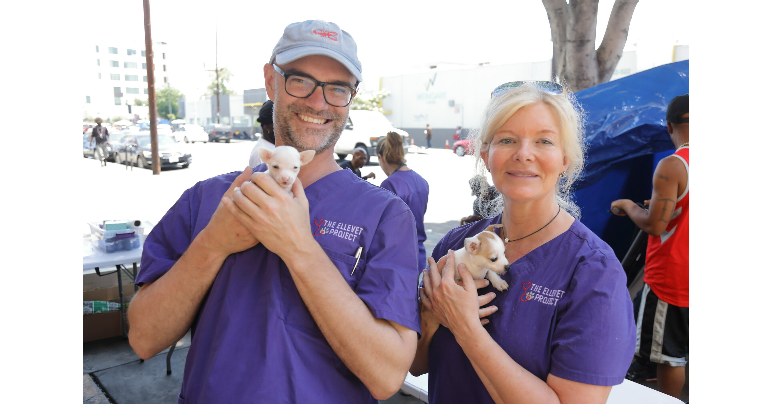 The ElleVet Project, a National Nonprofit Offering Free Veterinary Care ...