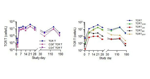 ISCT 2023: Late-breaking SCG101 Data Show 100% HBsAg+ Hepatocyte ...