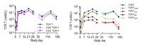 ISCT 2023: Late-breaking SCG101 Data Show 100% HBsAg+ Hepatocyte ...