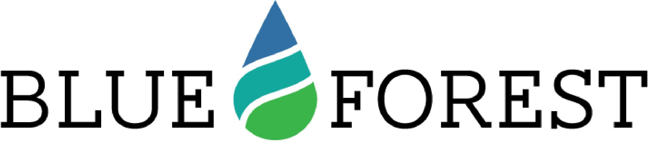 Blue Forest Launches the FRB Catalyst Facility and its First Forest ...