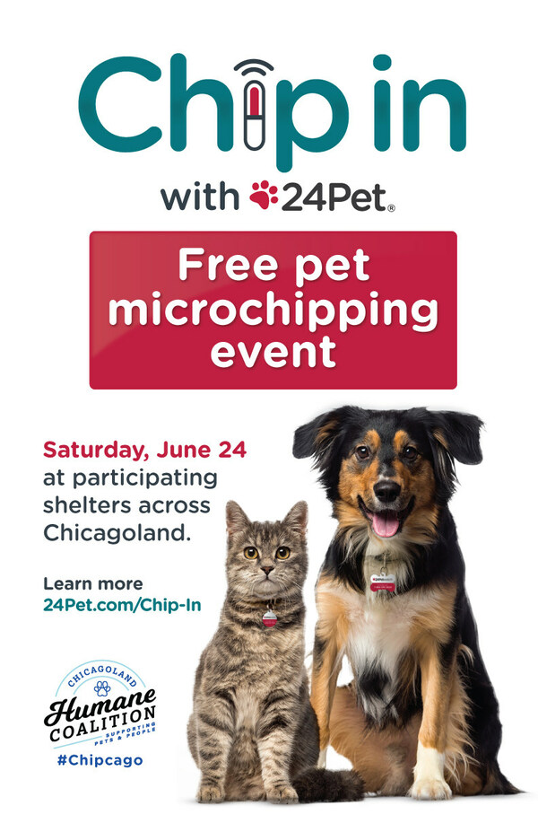 24Pet® to 'Chip in' To Help Lost Chicago Area Pets Reunite With Their ...