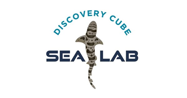 Dive Into an Unforgettable Adventure at the Brand-New Discovery Cube ...