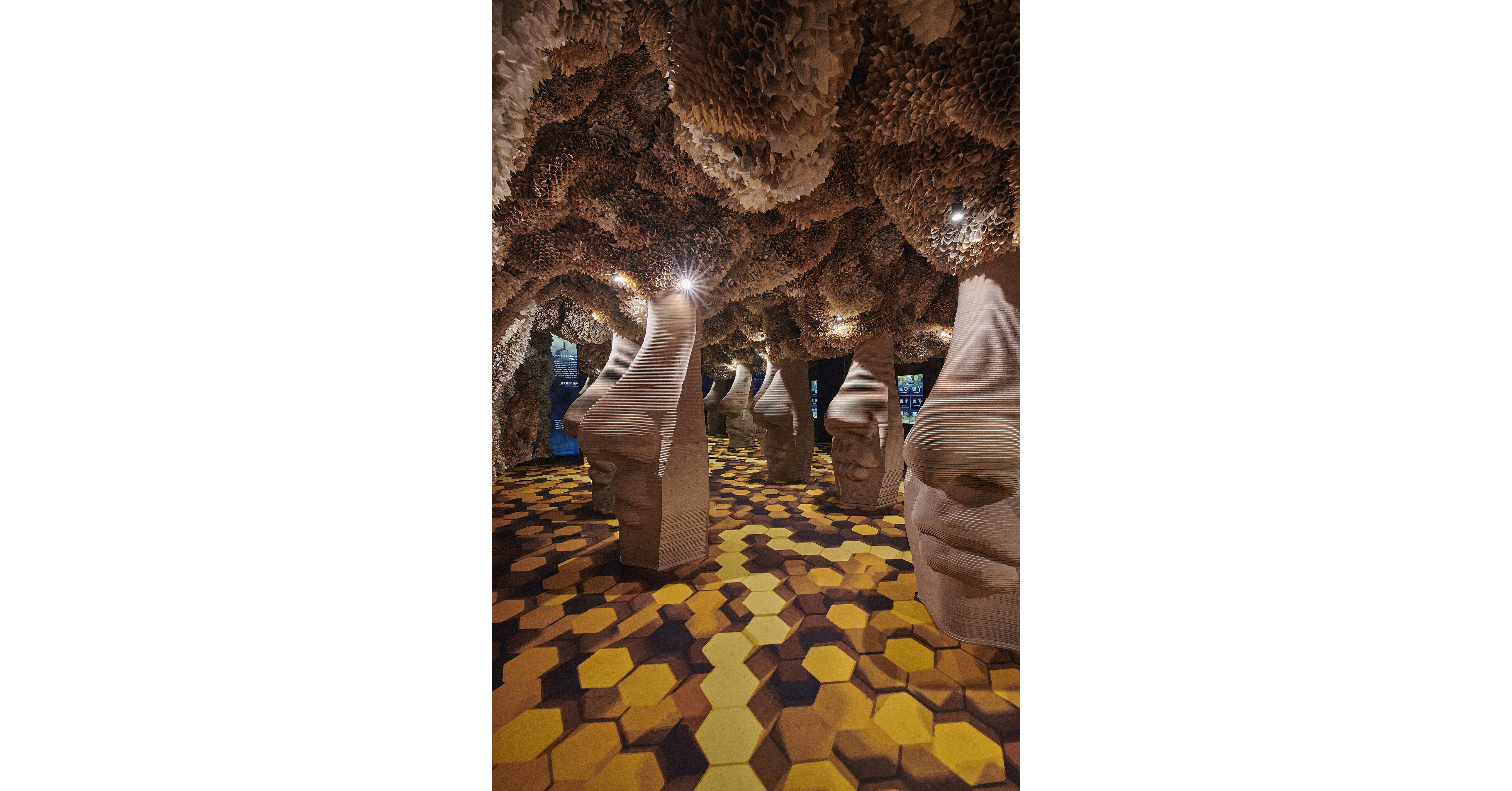 Arcadia Earth brings its immersive environmental art exhibit to Canada