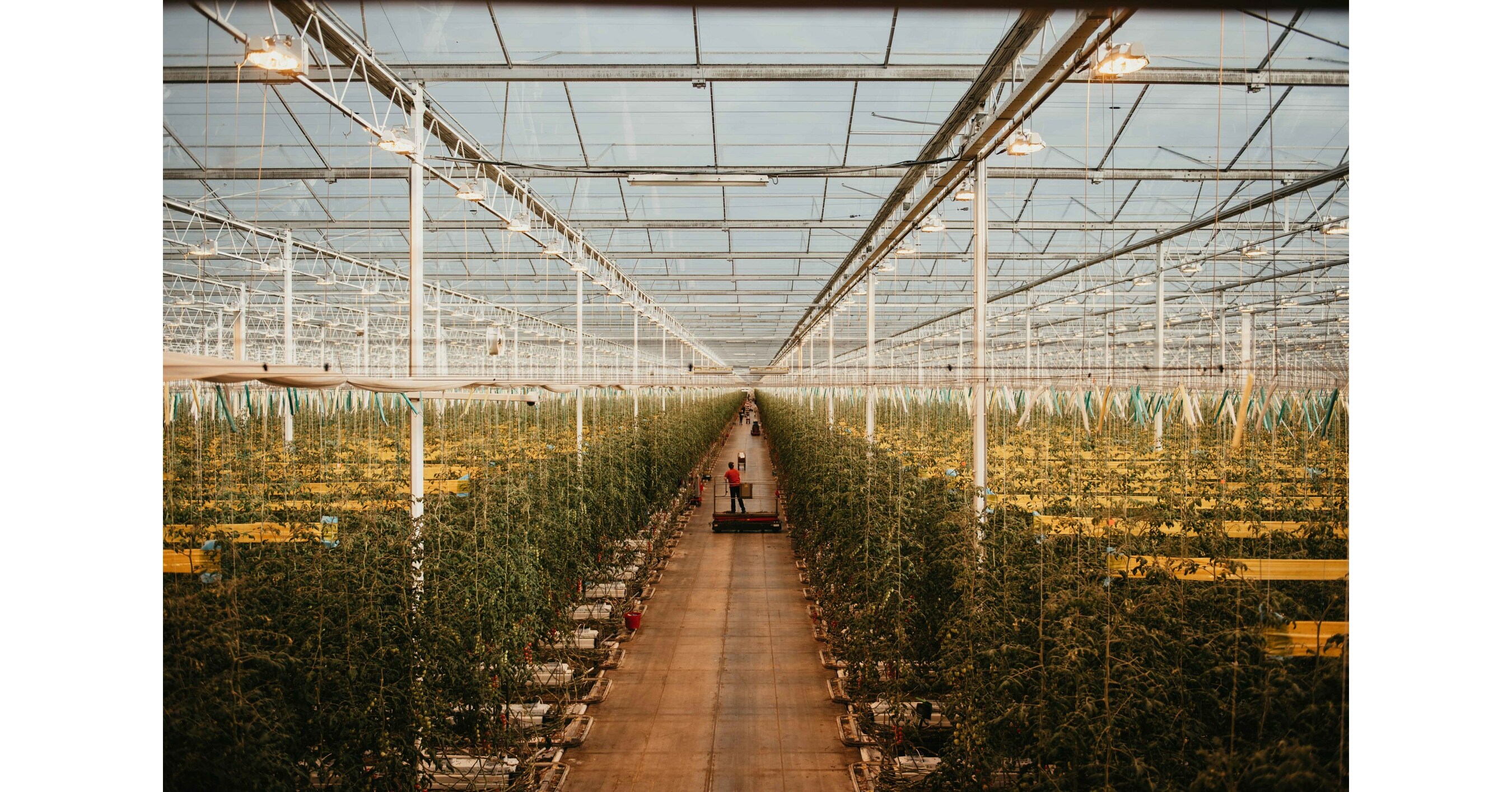 SK networks Invests $2M in AI Farming Startup 'Source.ag'