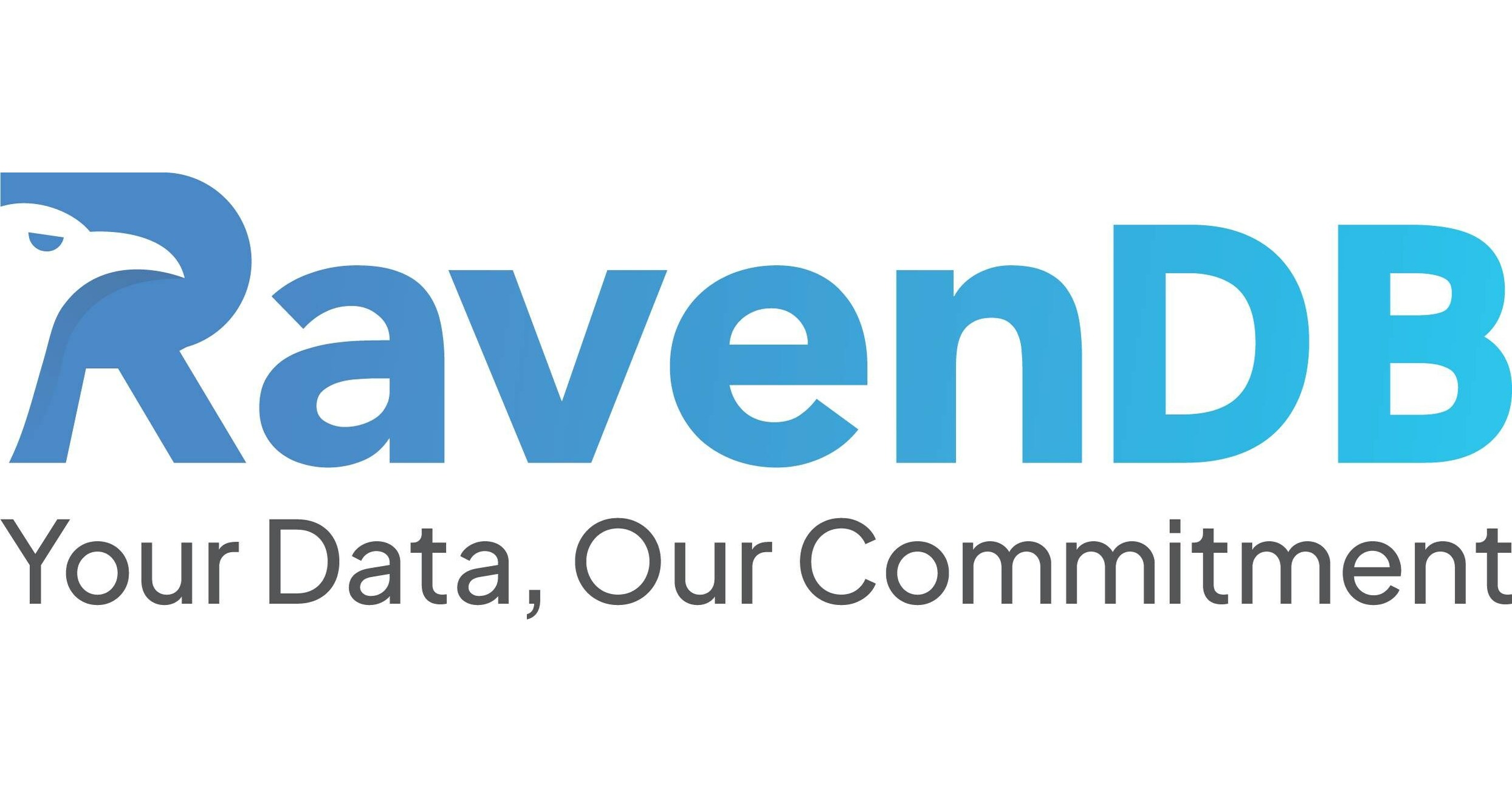 RavenDB Welcomes David Baruc as Chief Revenue Officer: Seasoned Tech ...