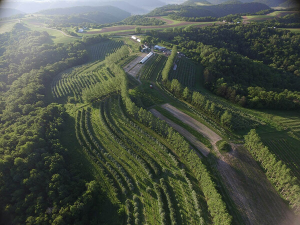 The Savanna Institute launches Tree Crop Improvement Program to boost ...