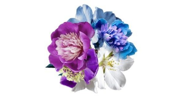 Deloitte Canada reinforces its DEI commitment statement and policies