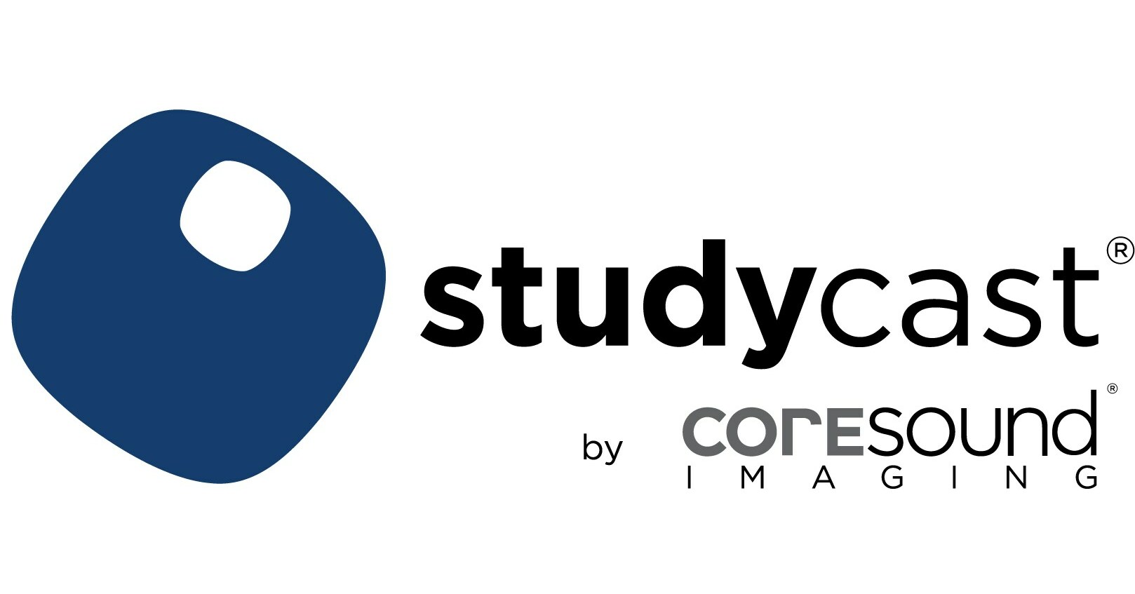 Core Sound Imaging Introduces Support for Emergency and Critical Care ...