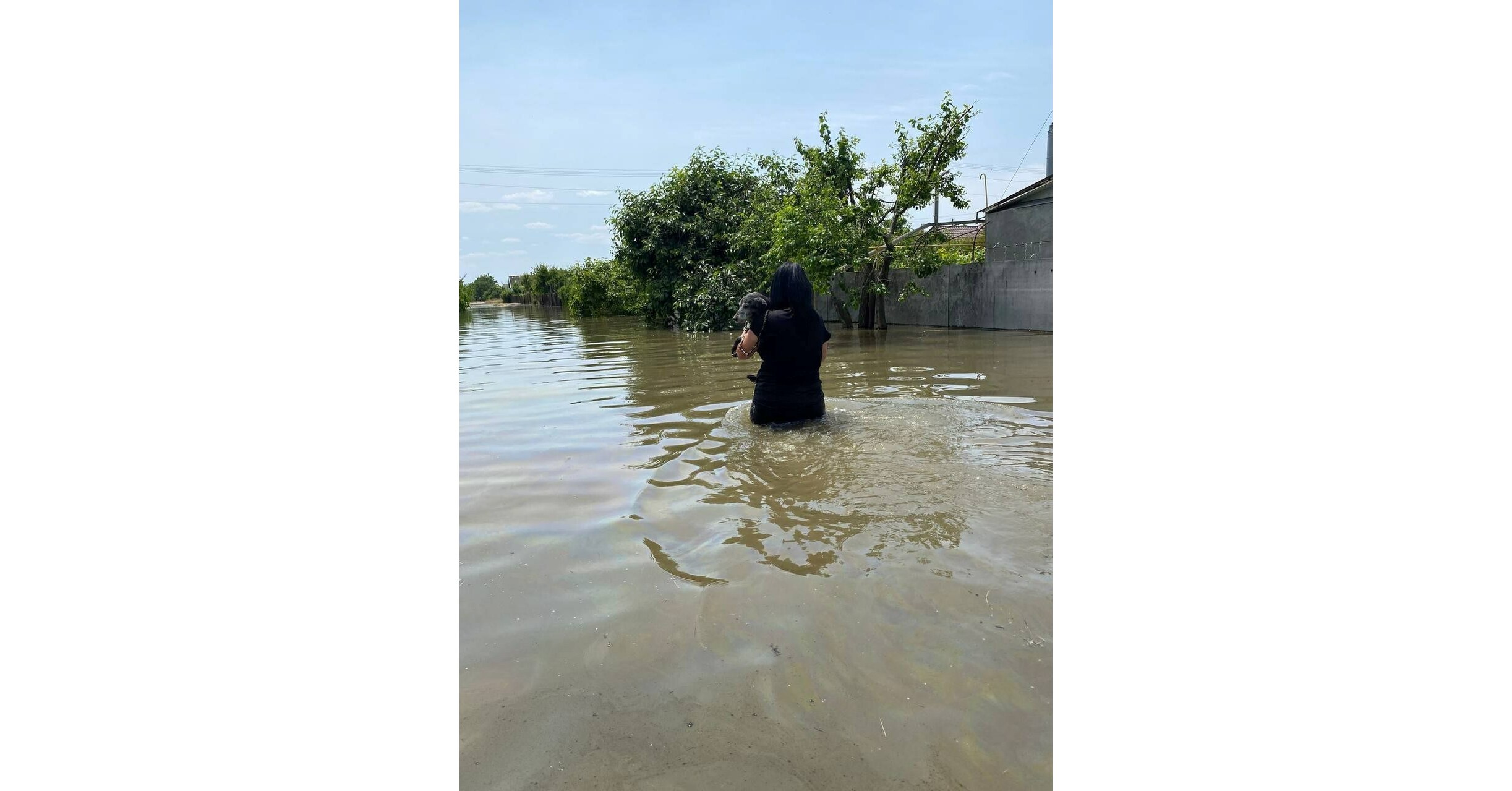 DAM DESTRUCTION LEAVES UKRAINIAN ANIMAL RESCUE GROUPS IN CRISIS