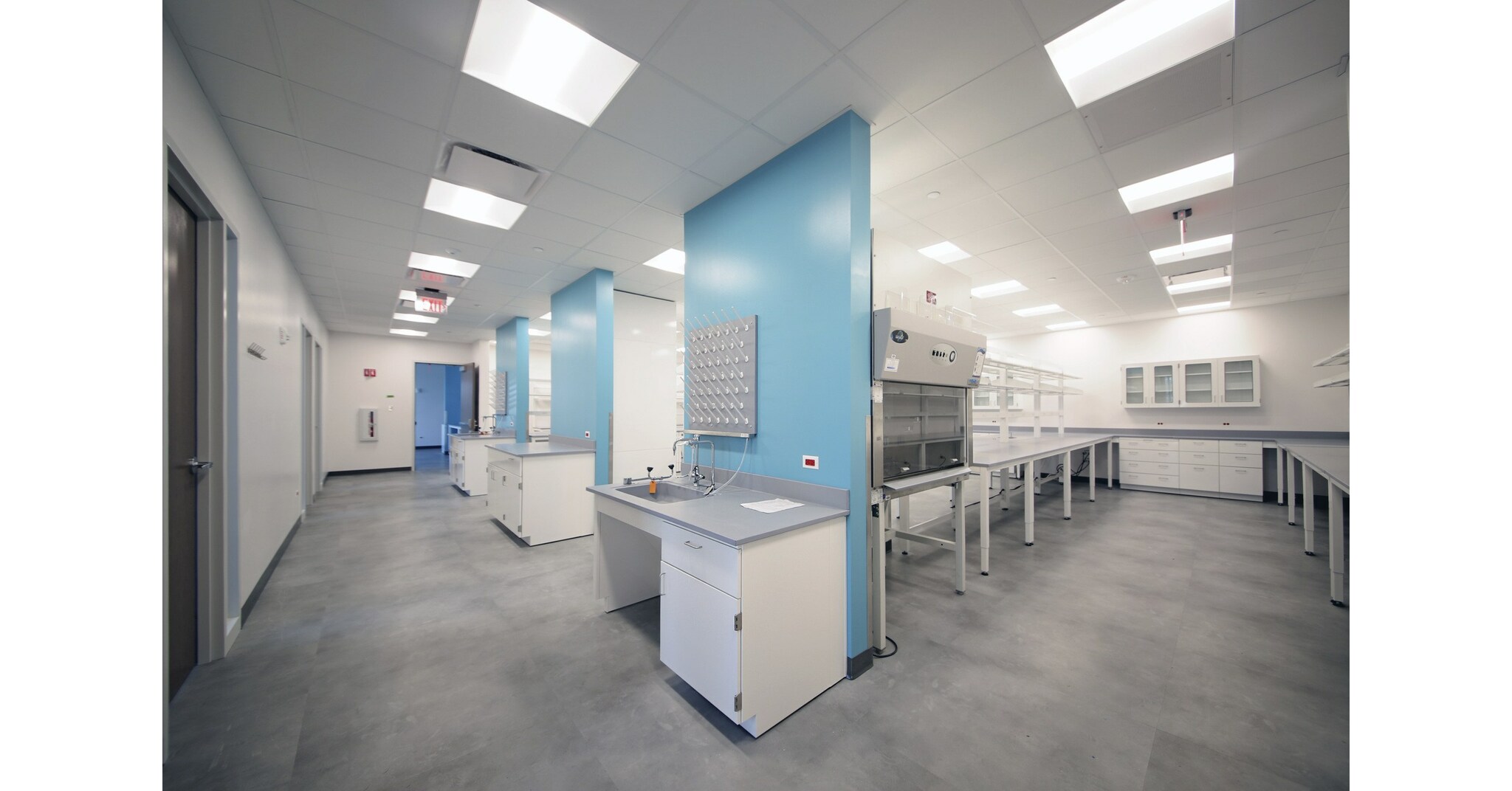 Rosalind Franklin University Announces Wet Lab Buildout Aided by $2 ...