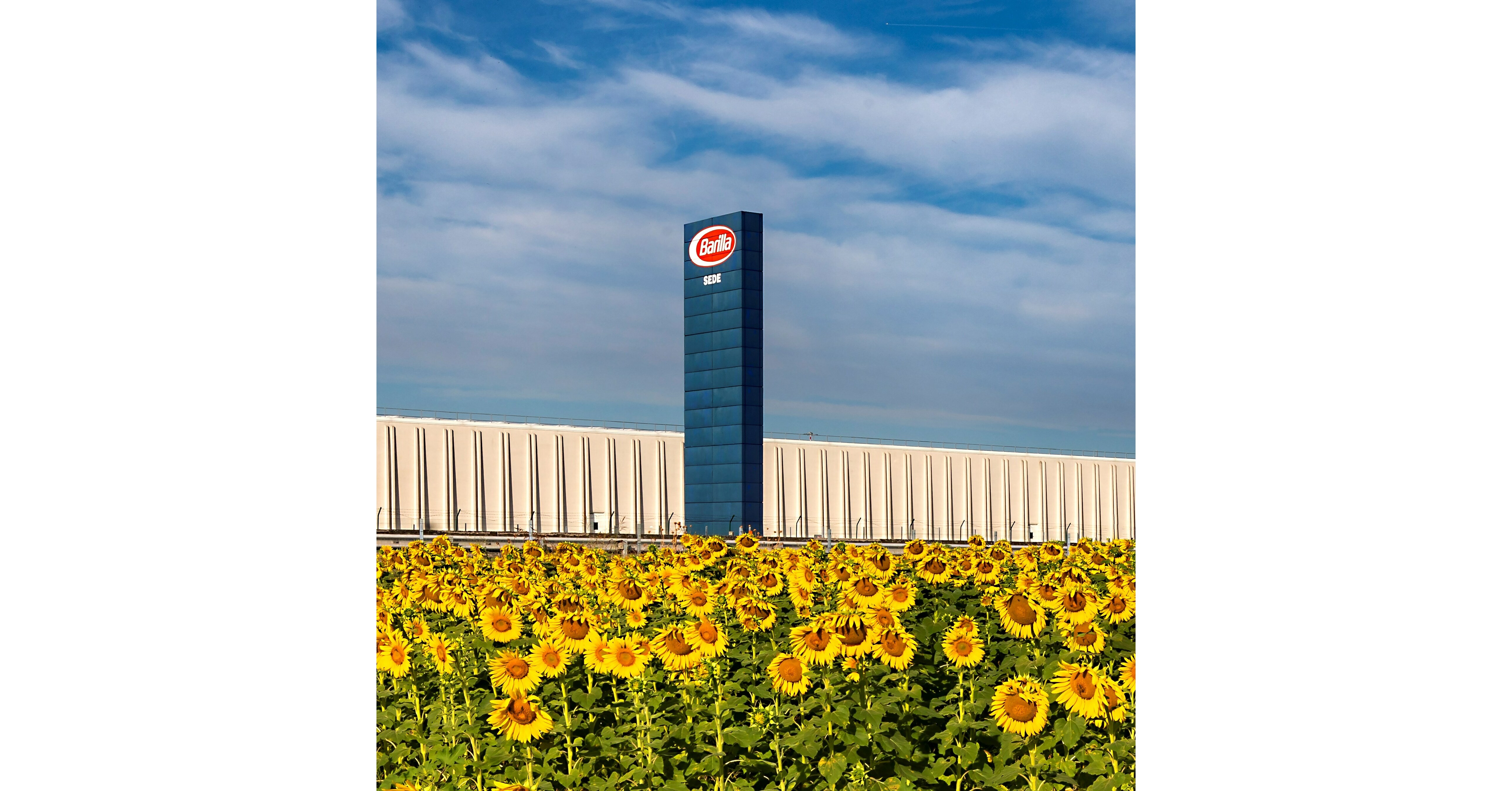 BARILLA, MORE SUSTAINABLE SUPPLY CHAINS TOGETHER WITH 9,000 FARMS THE ...