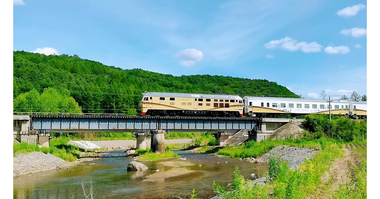 Forest train blazes new trail for tourism in northeast China