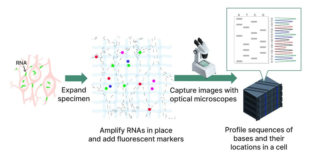 Weissman Lab & Fixstars Solutions to Explore Bone Marrow Research Using ...