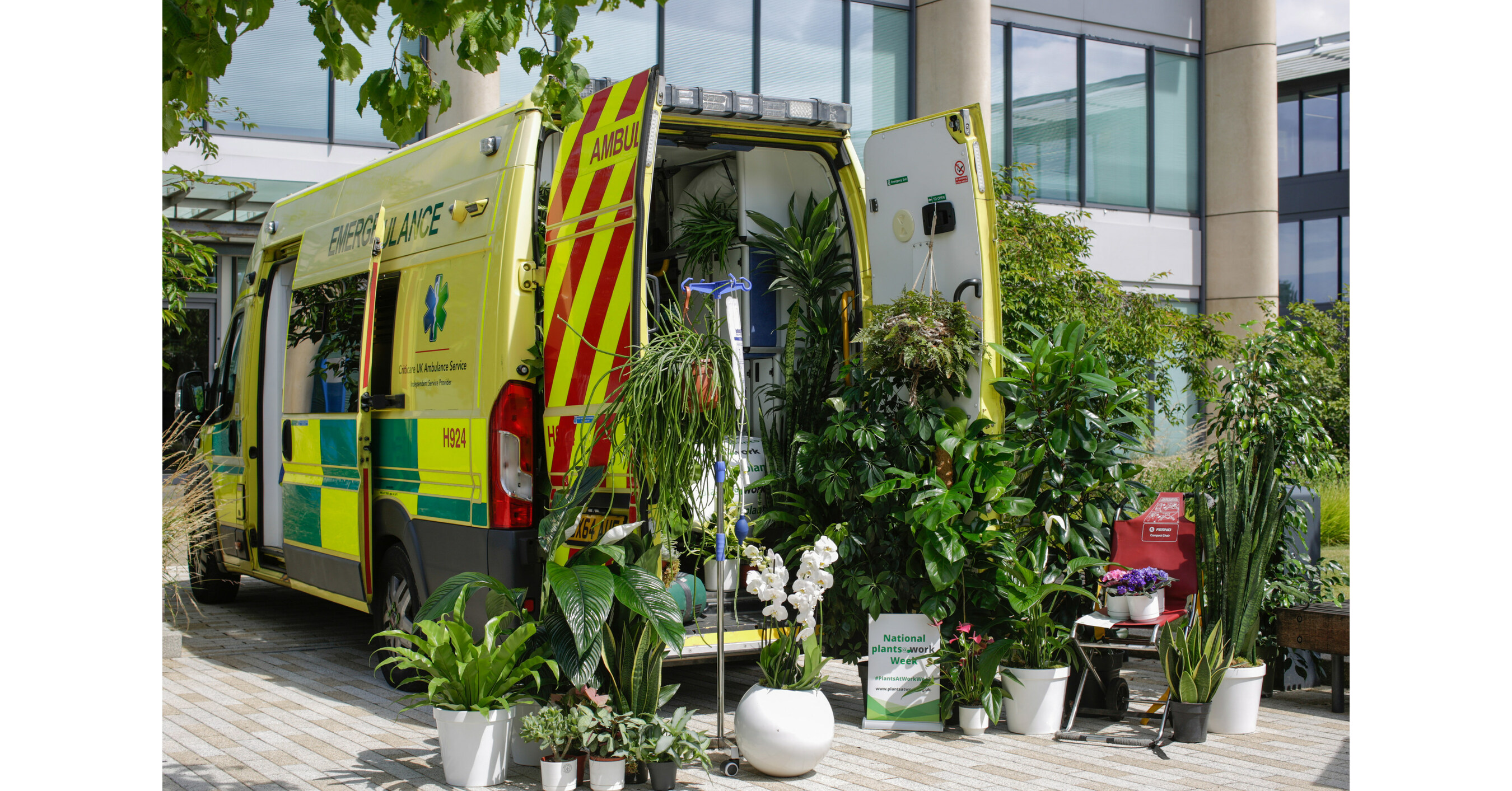 Plants to the Rescue