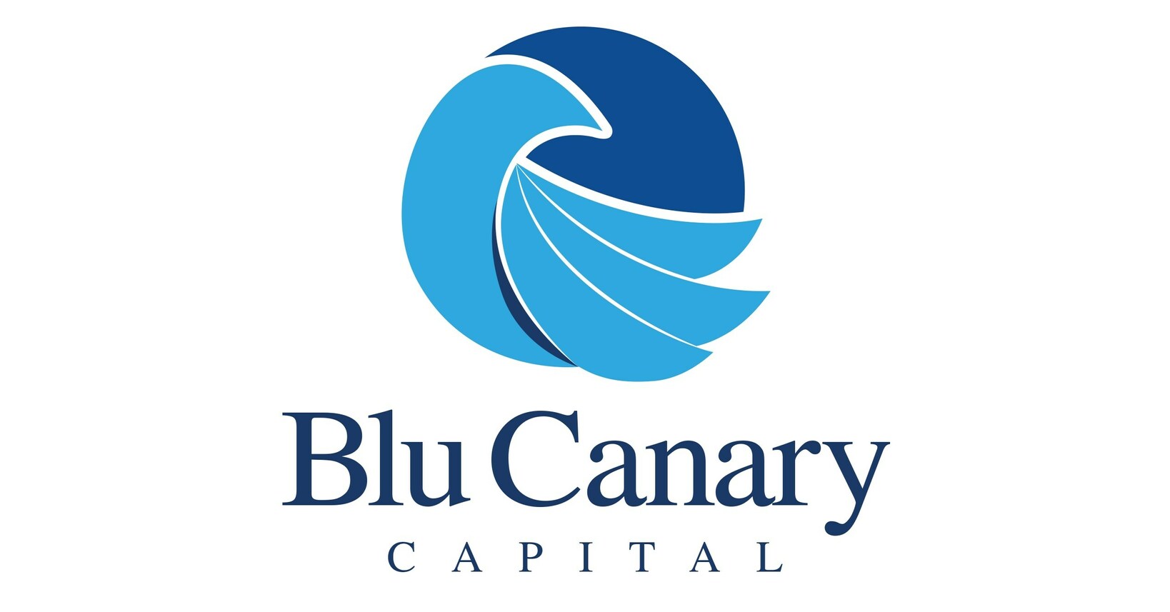 BLU CANARY CAPITAL PARTNERS WITH THE ARENA FOOTBALL LEAGUE (AFL)