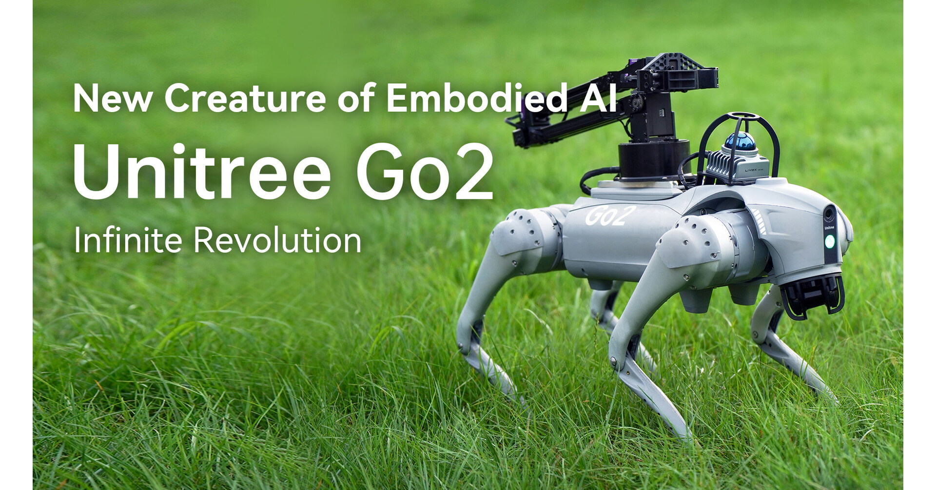 Future Explorer: Unitree Go2 - Quadruped Robot of Embodied AI