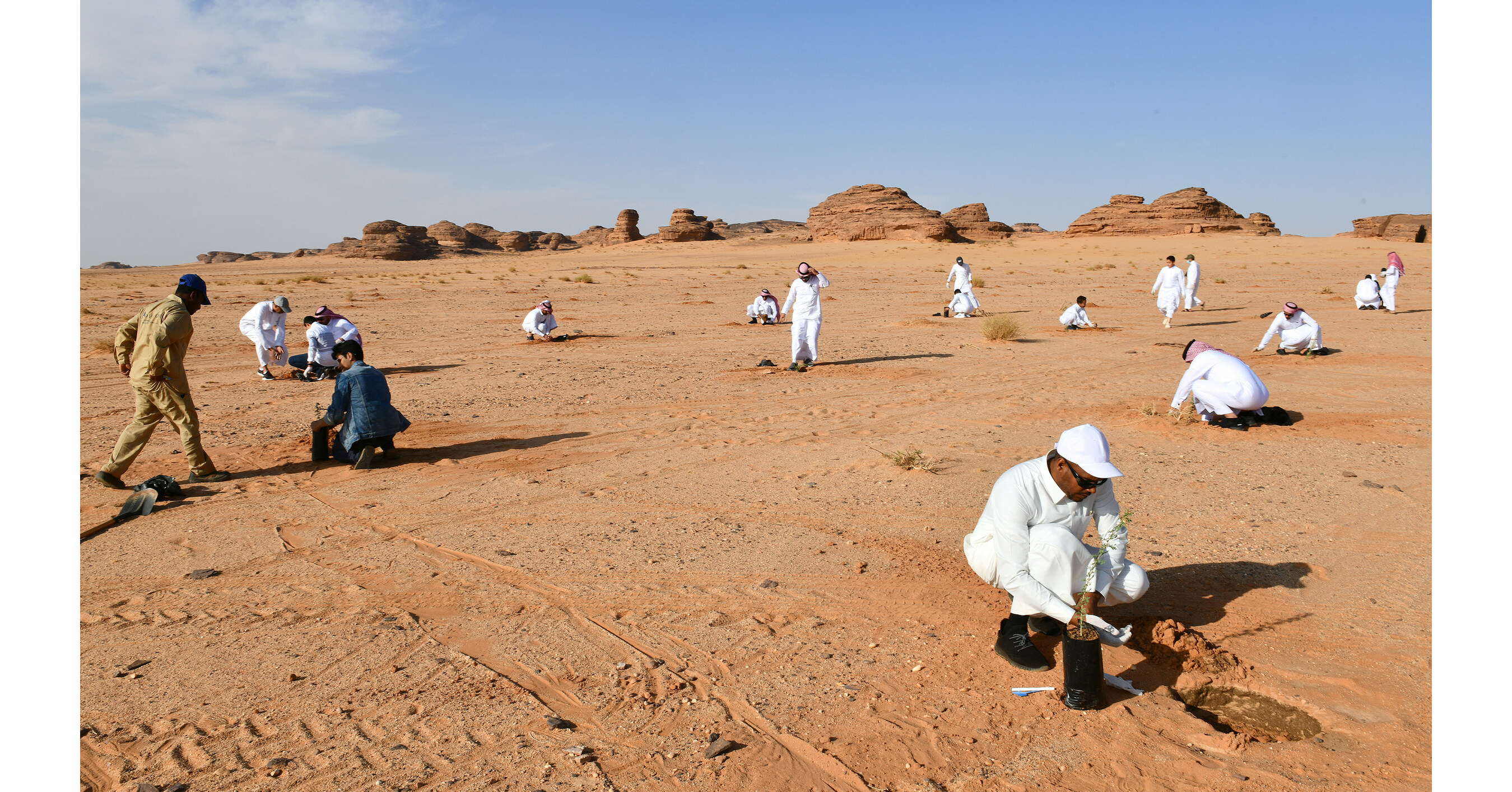 Report by Royal Commission for AlUla on work to be undertaken with IUCN ...