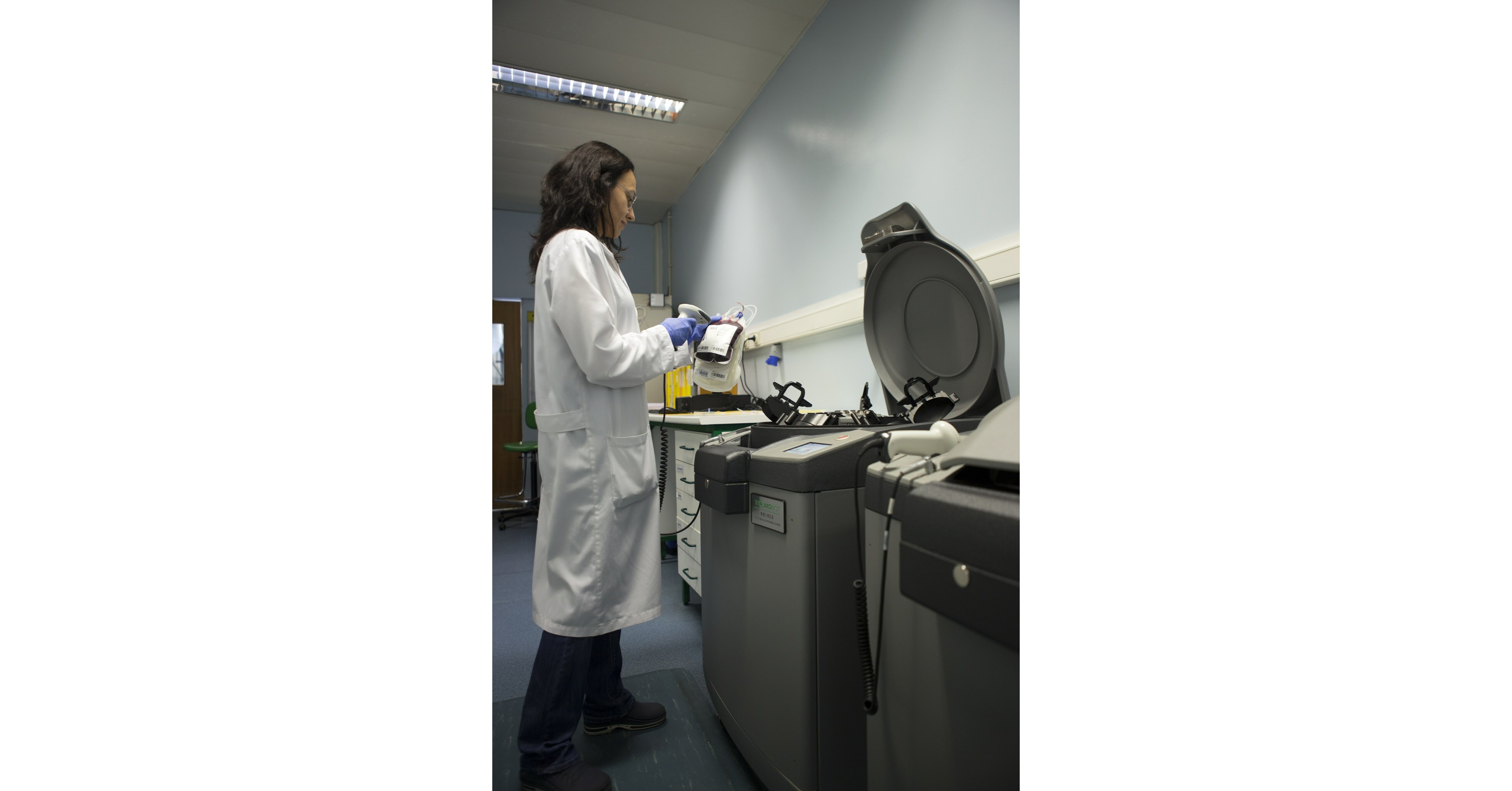 Terumo Blood and Cell Technologies' Reveos® Automated Whole Blood ...