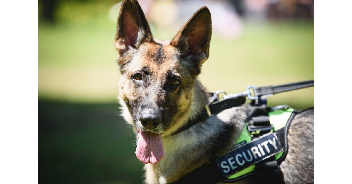 YuMOVE Partners with the United States Police Canine Association to ...