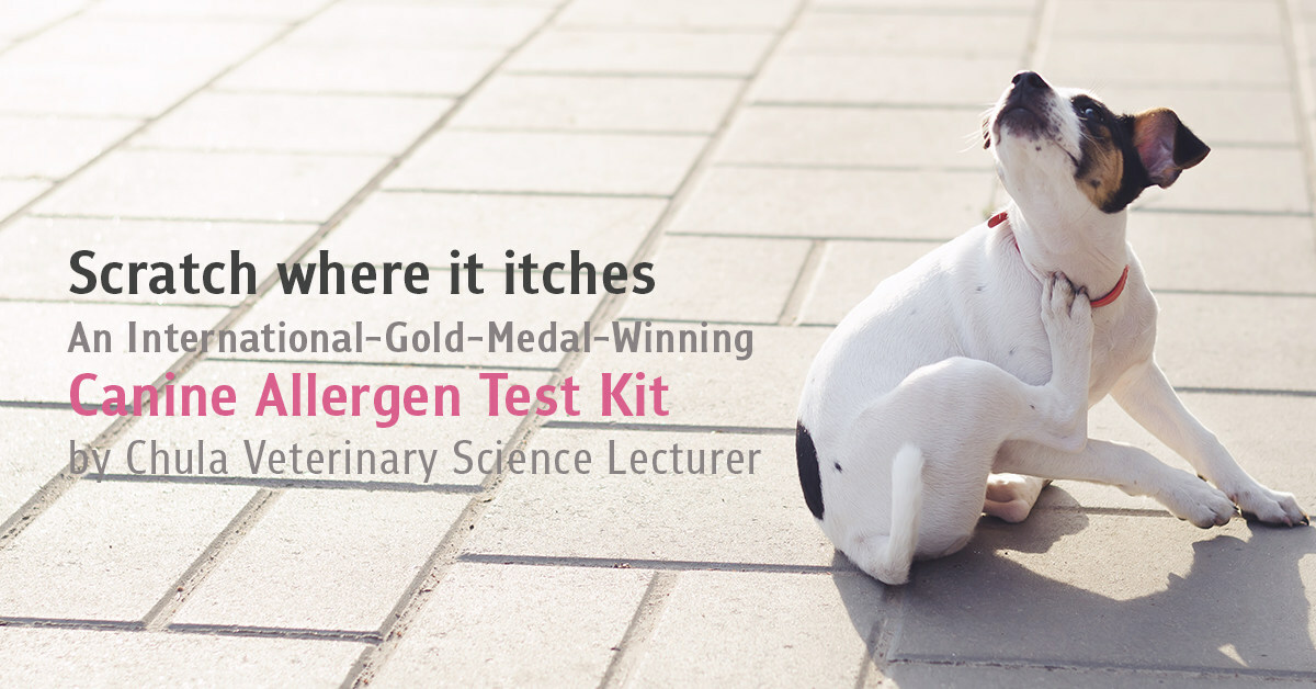 Scratch where it itches - An International-Gold-Medal-Winning Canine ...