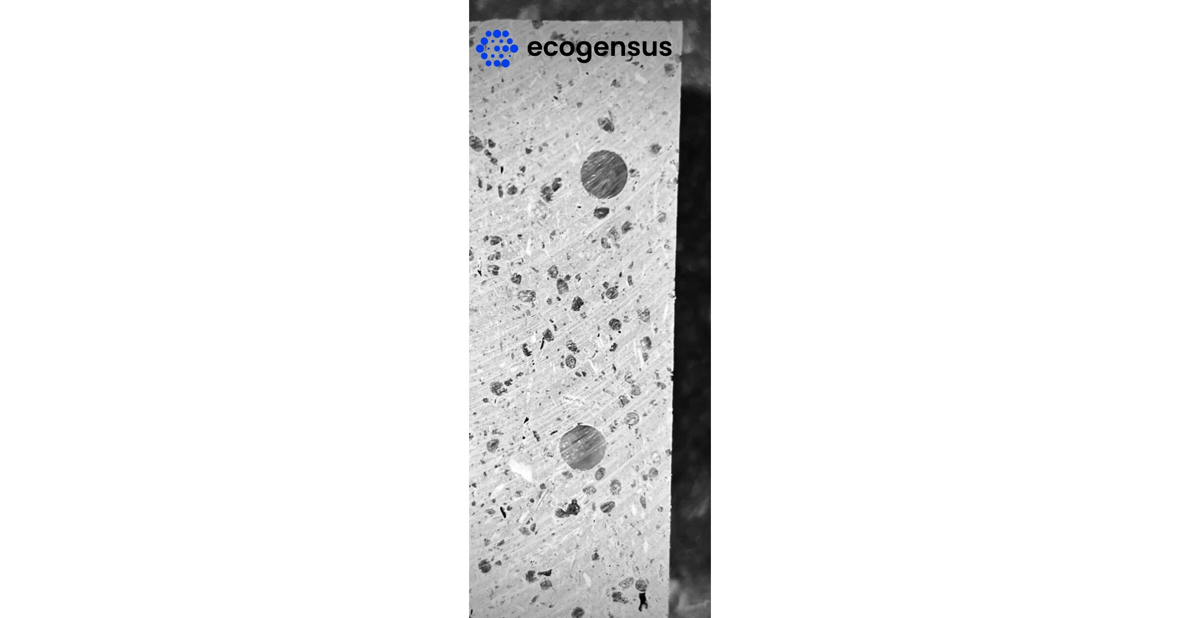 Ecogensus Announces Groundbreaking Reinforced Sustainable Composite ...