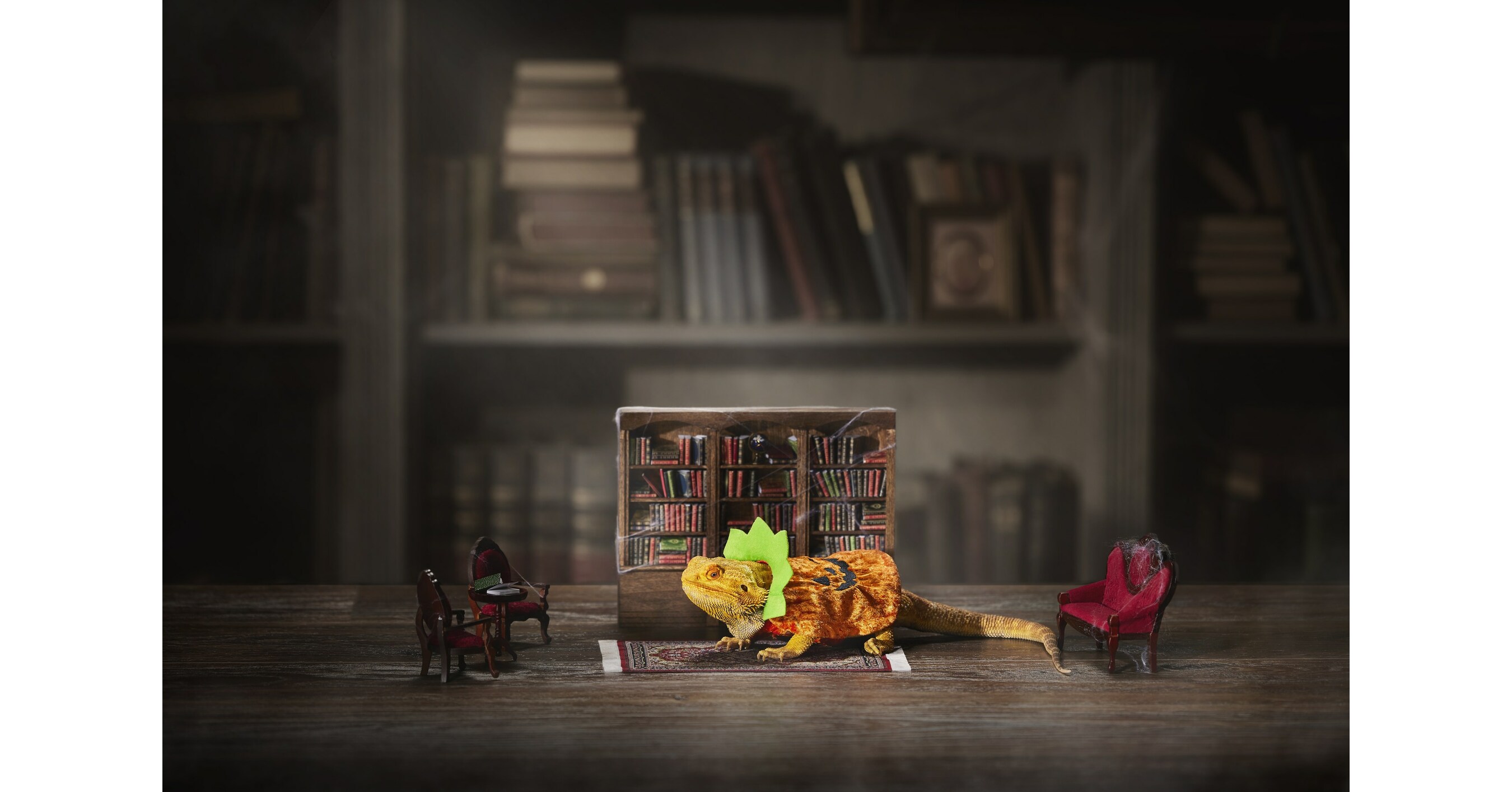 Brace Yourself for Scary Tails: PetSmart's Howl-O-Ween Shop Comes to ...