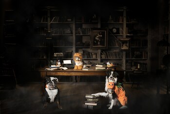 Brace Yourself for Scary Tails: PetSmart's Howl-O-Ween Shop Comes to ...