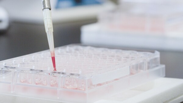 Functional Fluidics Announces Global Expansion into Africa