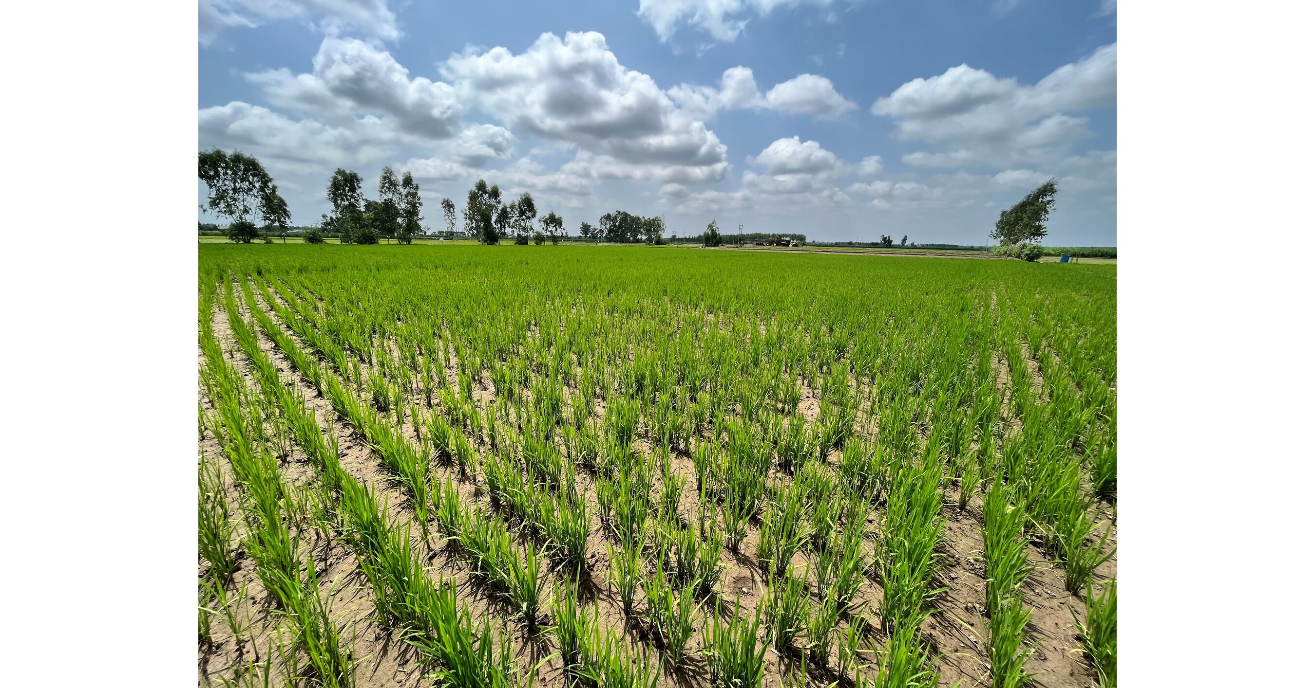 Bayer, GenZero and Shell collaborate to reduce methane emissions in ...