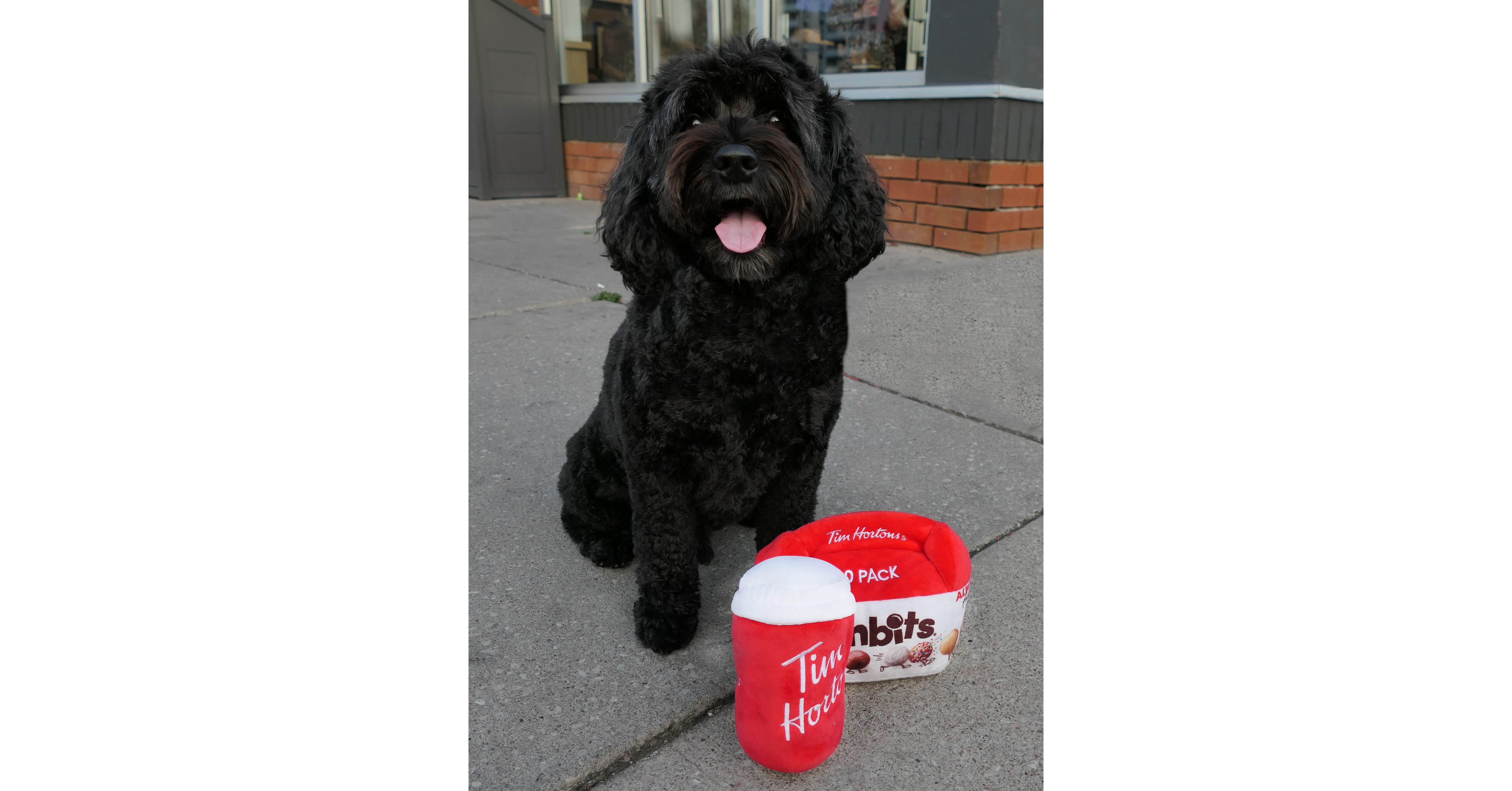 Tim Hortons célèbre la Journée nationale du chien avec des jouets pour ...