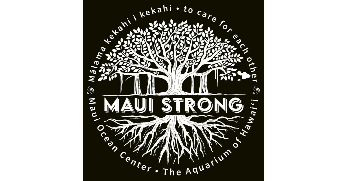 Maui is Open to Respectful Visitors