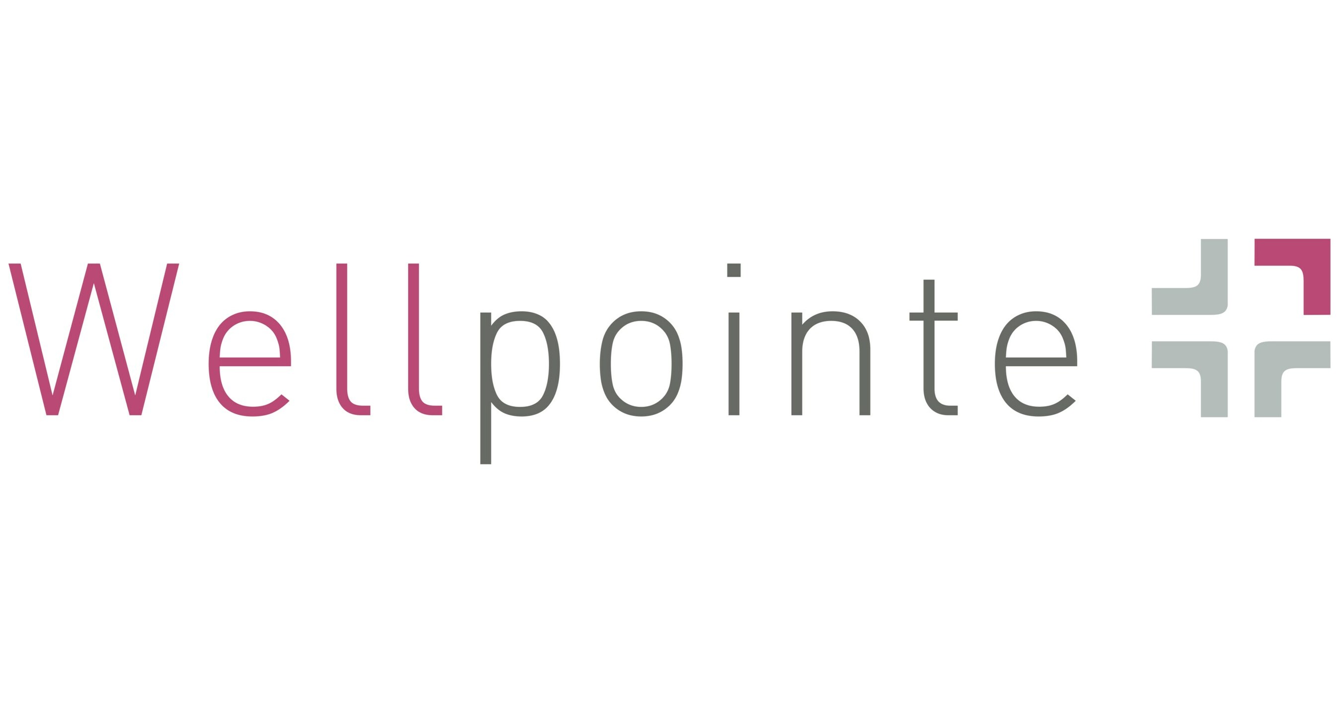 Wellpointe Inc. Announces the Addition of Frank Scicchitano as its ...