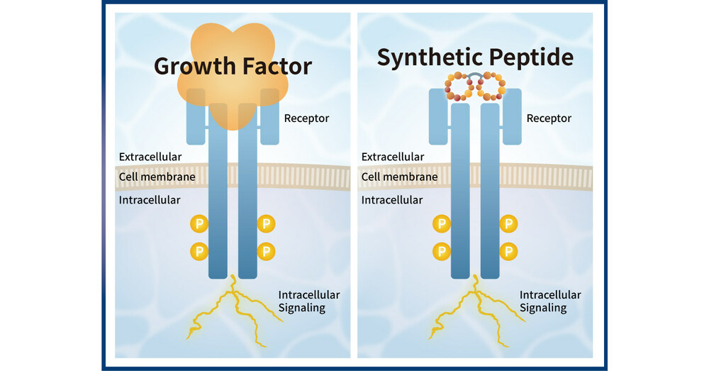 PeptiGrowth Inc. and Orizuru Therapeutics, Inc. Enter into Joint ...