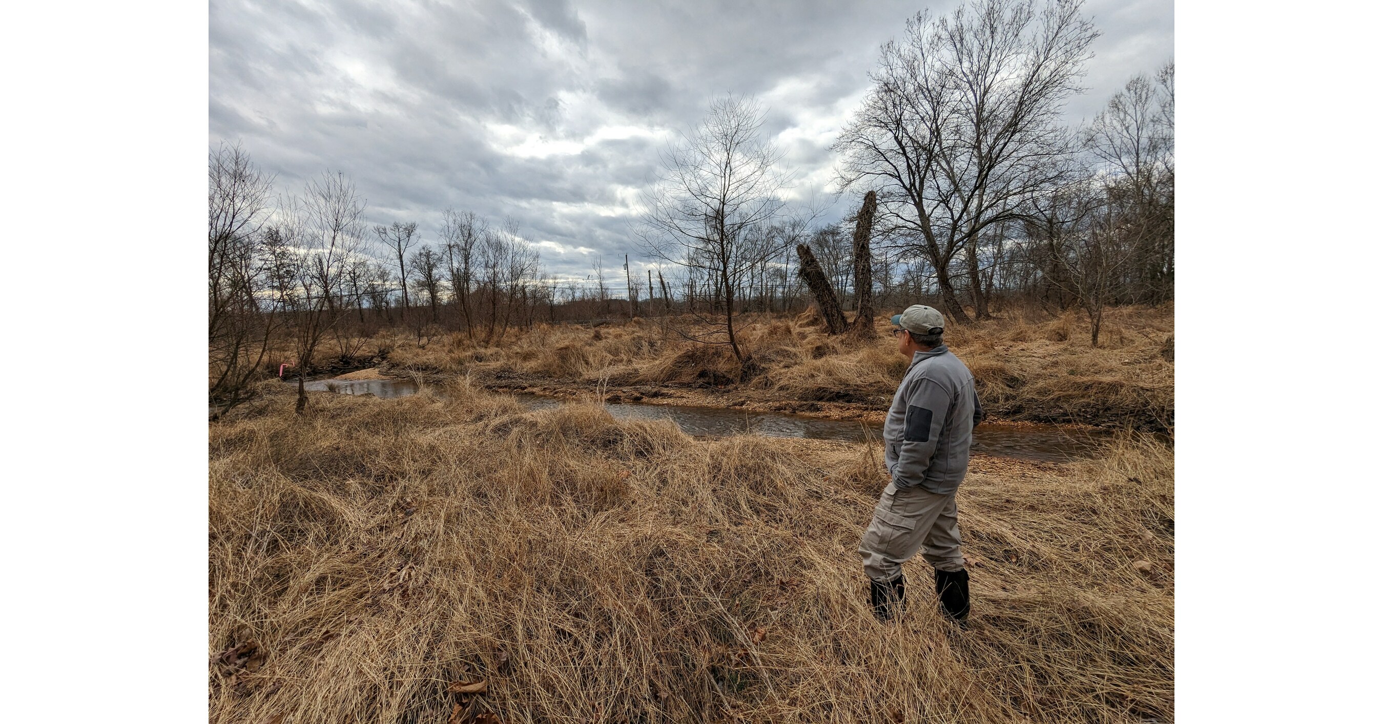 Dominion Energy Environmental Grant Application Now Open to Nonprofit ...