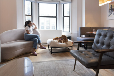 The James Hotel NoMad Partners with FÜZI Pets to Bring Luxe ...