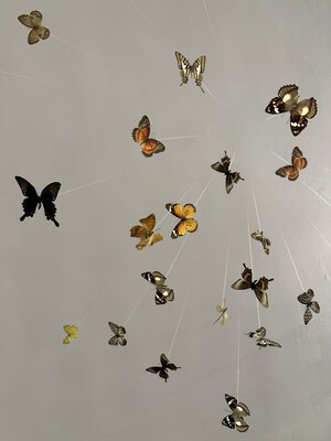 Flutter, Fly, Fall: The Butterfly Guides Us Through Its Unpredictable ...