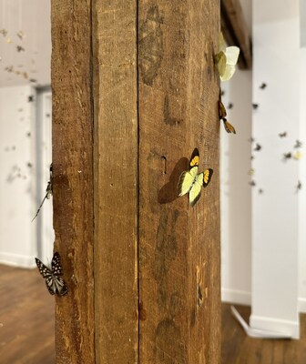 Flutter, Fly, Fall: The Butterfly Guides Us Through Its Unpredictable ...