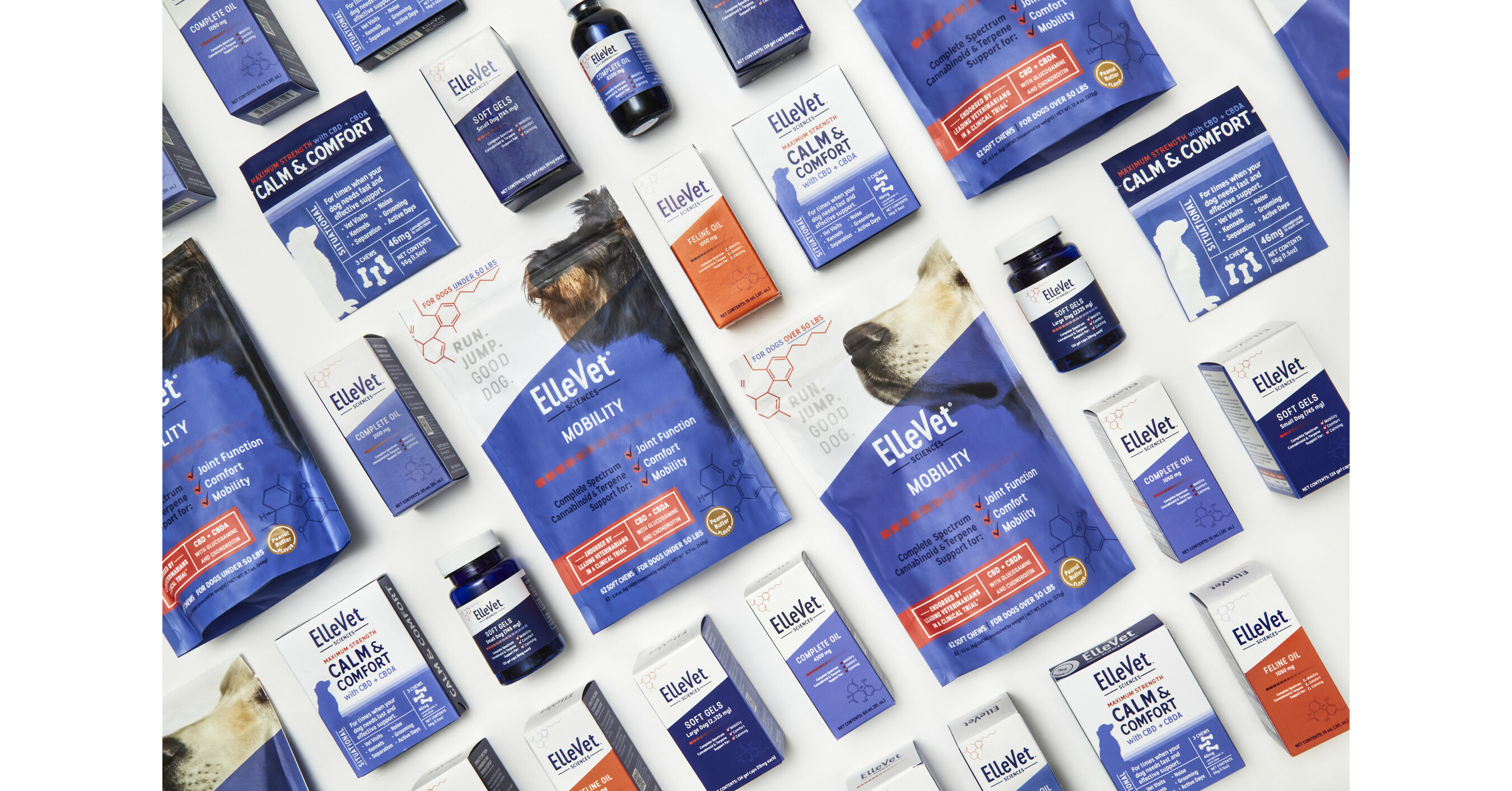 ElleVet Sciences Issued a Patent for Proprietary CBD+CBDA Formulation