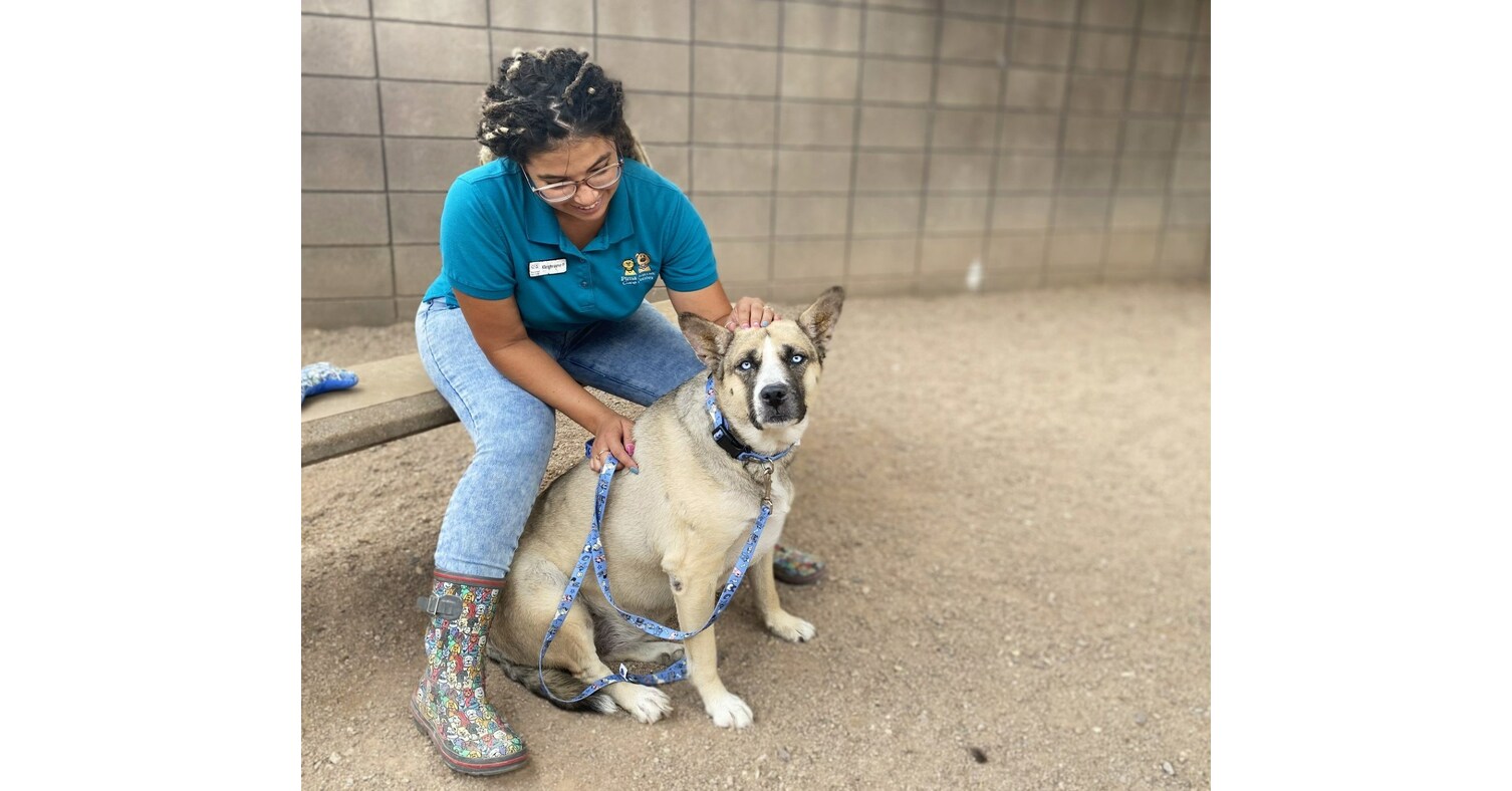 The Pawfect Match: Petco Love and BOBS from Skechers™ Celebrate ...