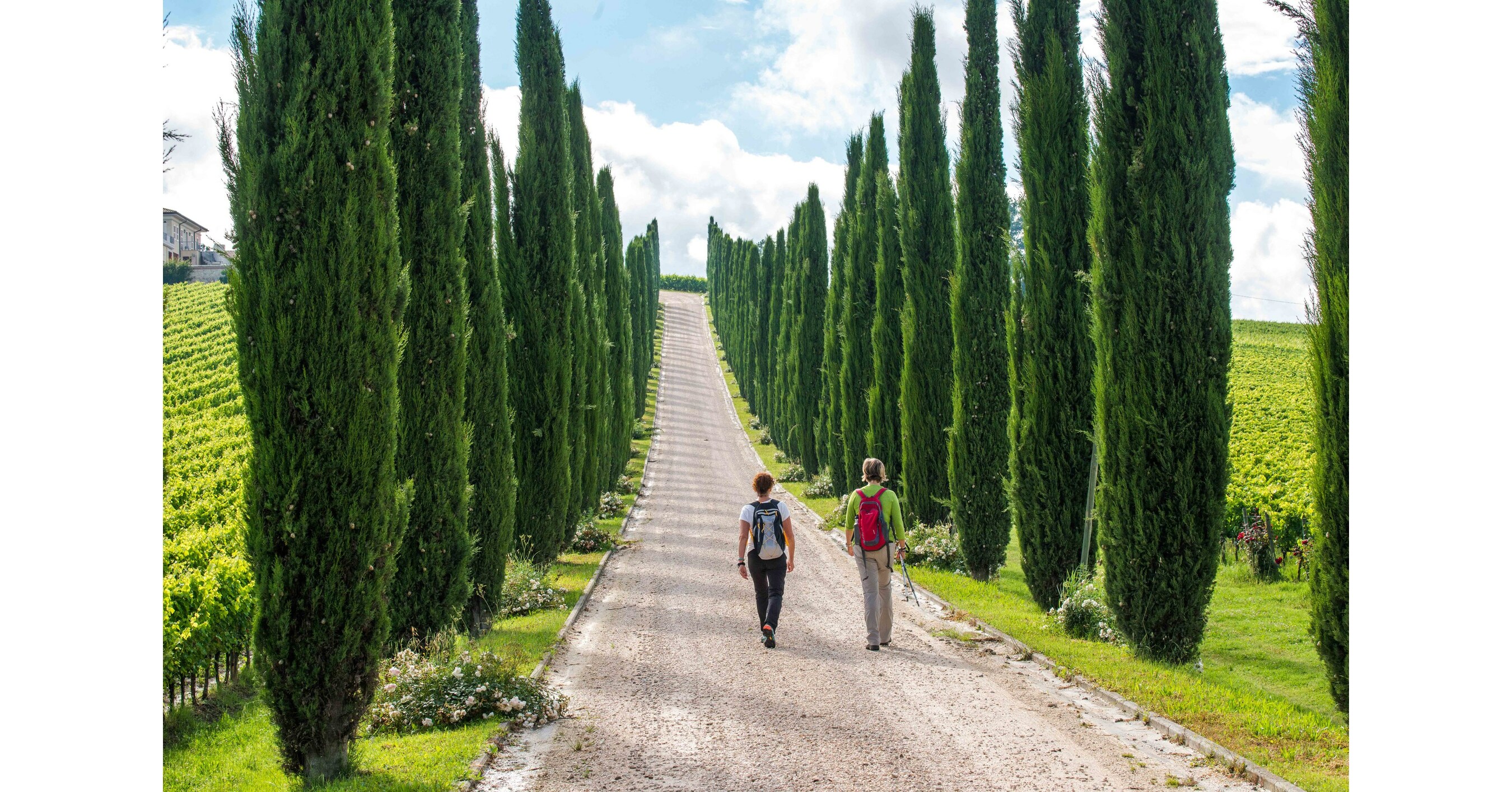 VBT Bicycling Vacations, Country Walkers Announce 2024 Itineraries