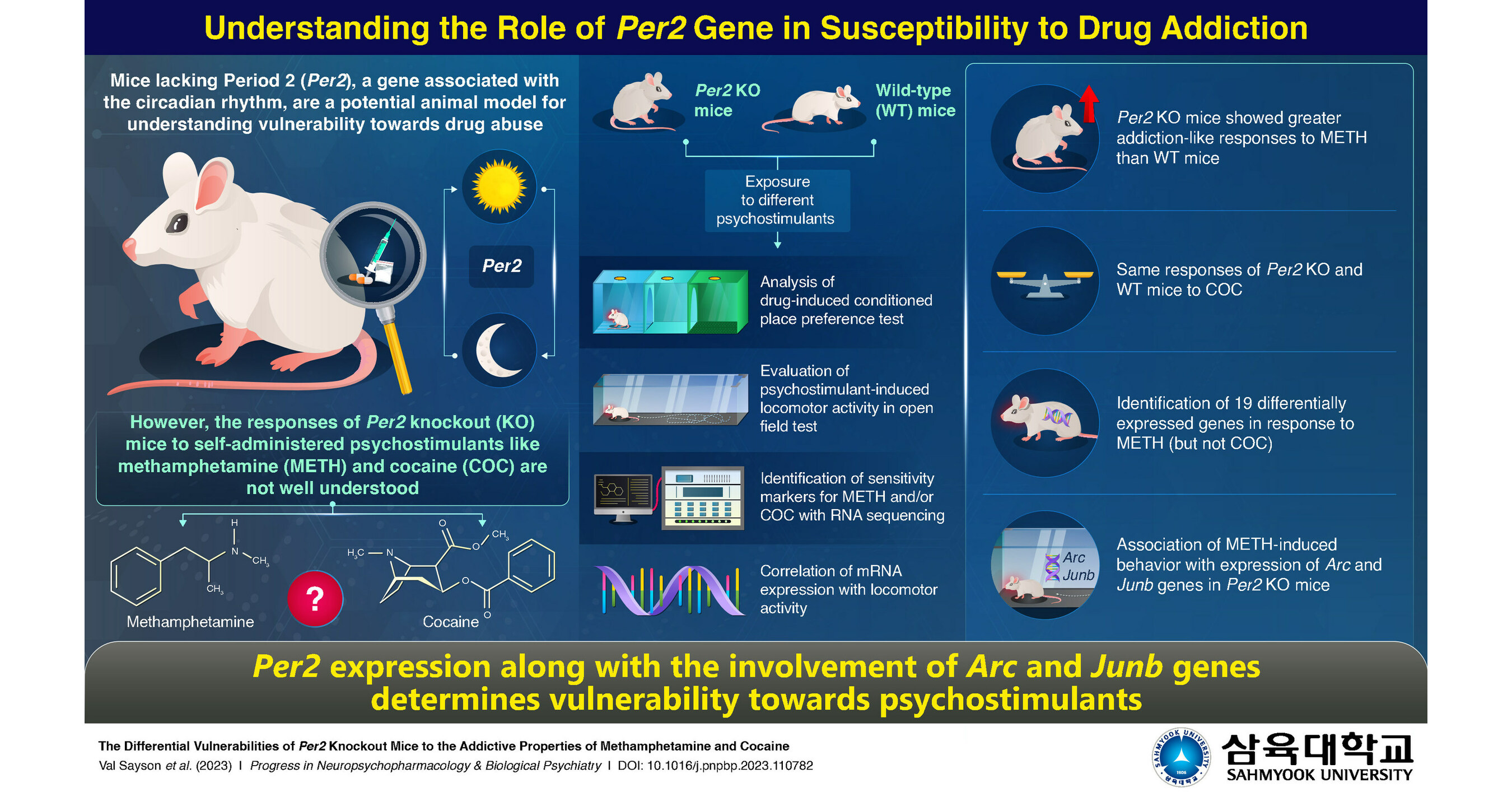 Sahmyook University Researchers Identify Genes Associated with ...