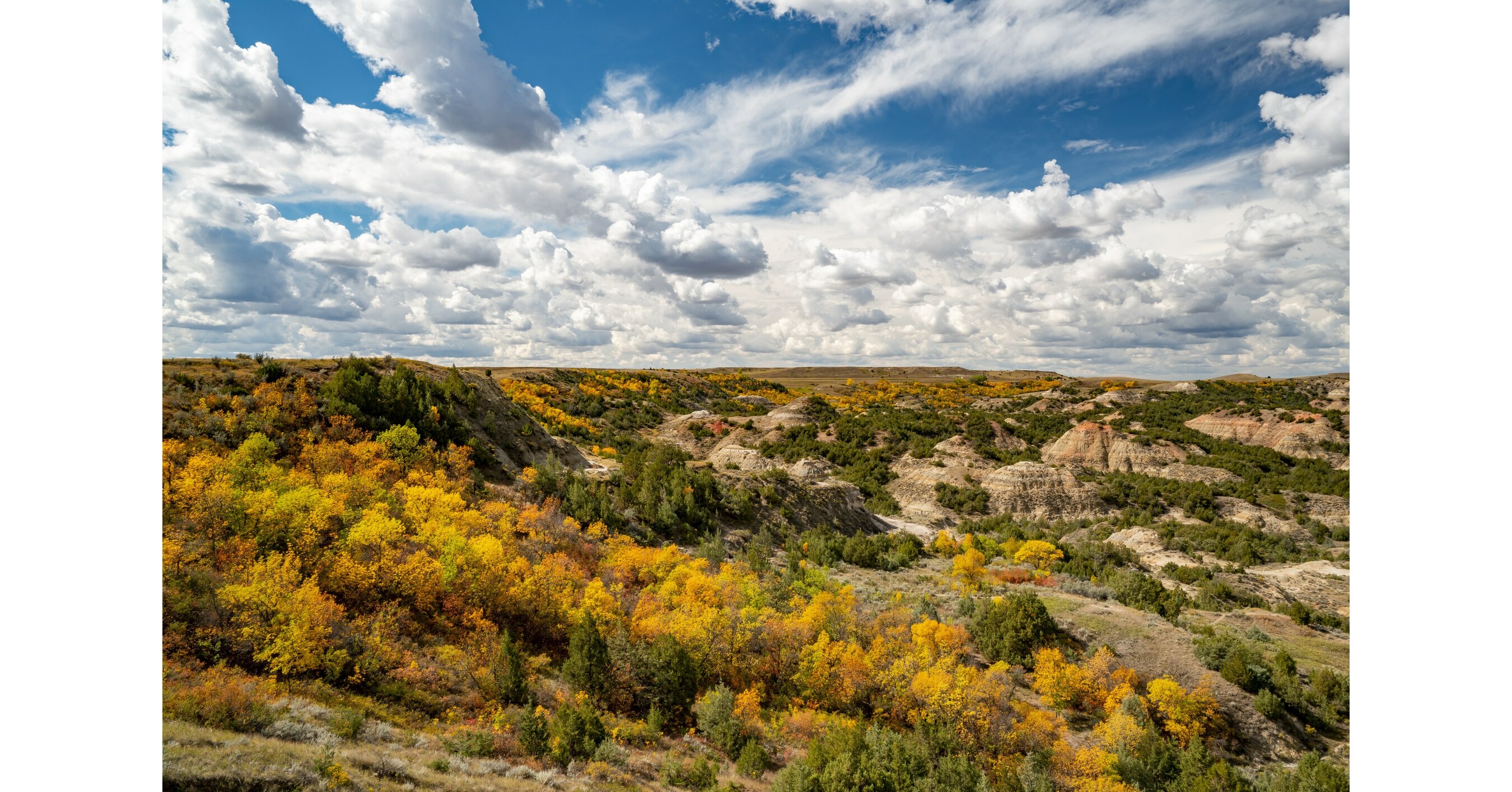 Vibrant Fall Foliage Colors Sweep Across North Dakota's Legendary ...