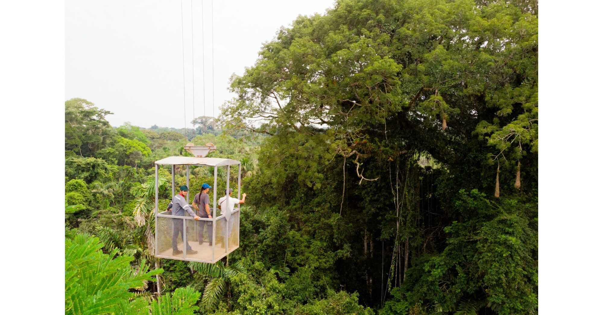 Sacha Lodge Unveils Amazon Rainforest's FIRST-EVER Canopy Exploration Crane